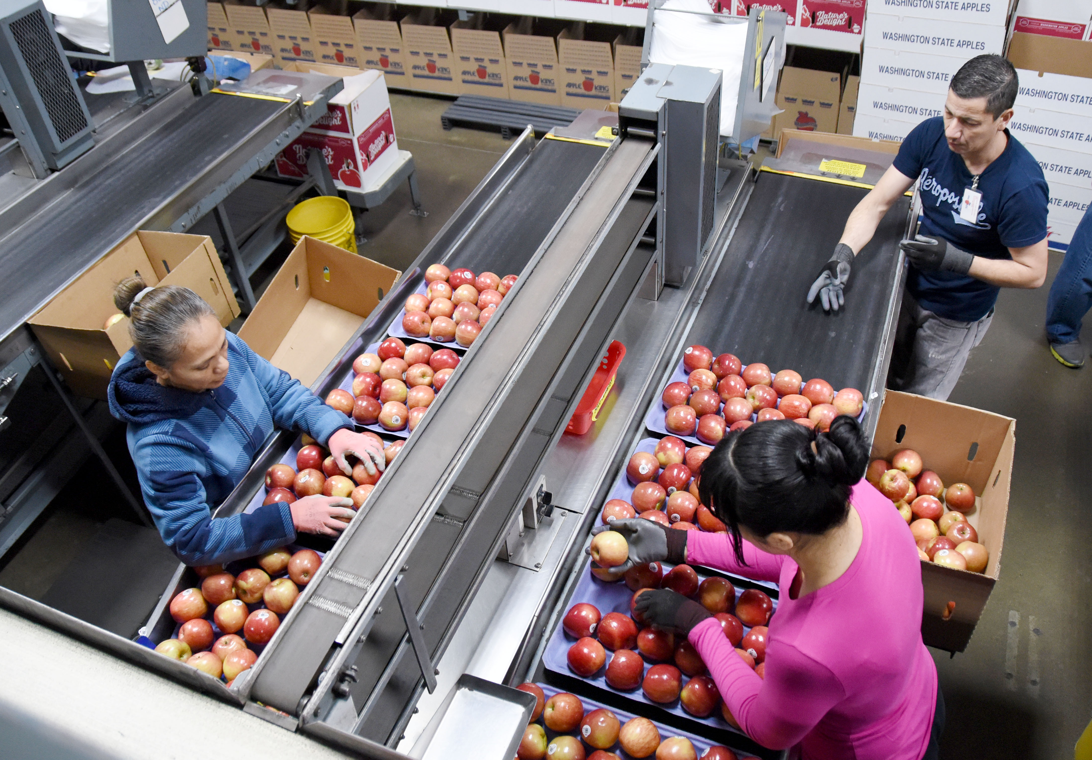 Apple King has become known for quality fruit, innovative ideas – Dave ...