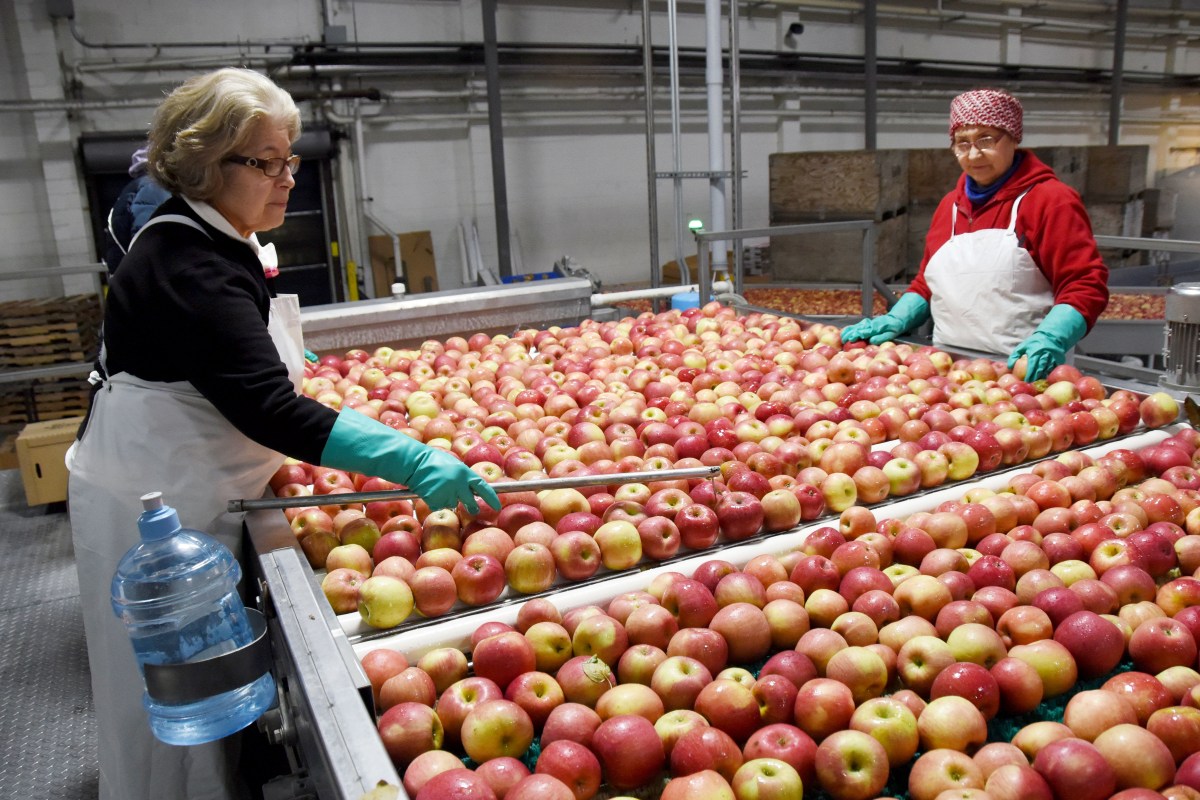Apple King has become known for quality fruit, innovative ideas – Dave ...